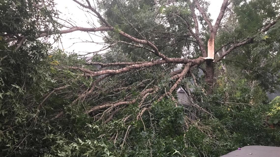 High Wind Warning in effect for NW Oregon, SW Washington | kgw.com