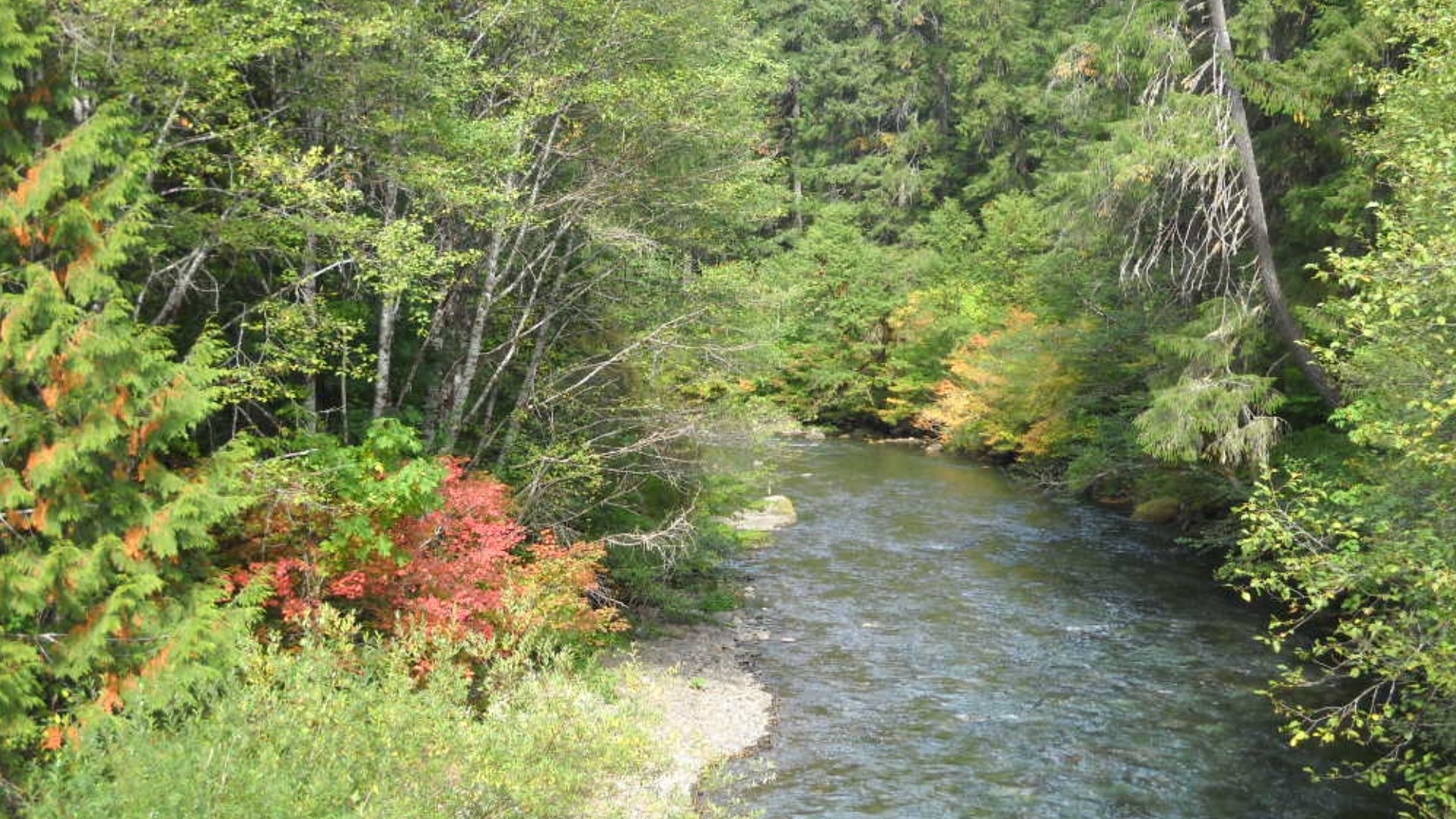 A scenic byway offers a back route through the Oregon cascades | kgw.com