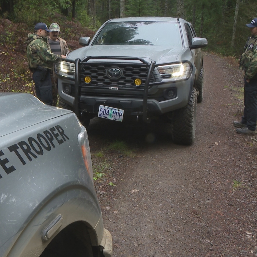 Oregon state troopers set up decoy elk to catch hunters flouting state ...