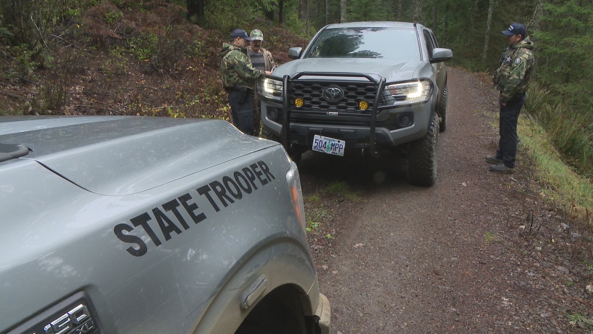Oregon state troopers set up decoy elk to catch hunters flouting state ...