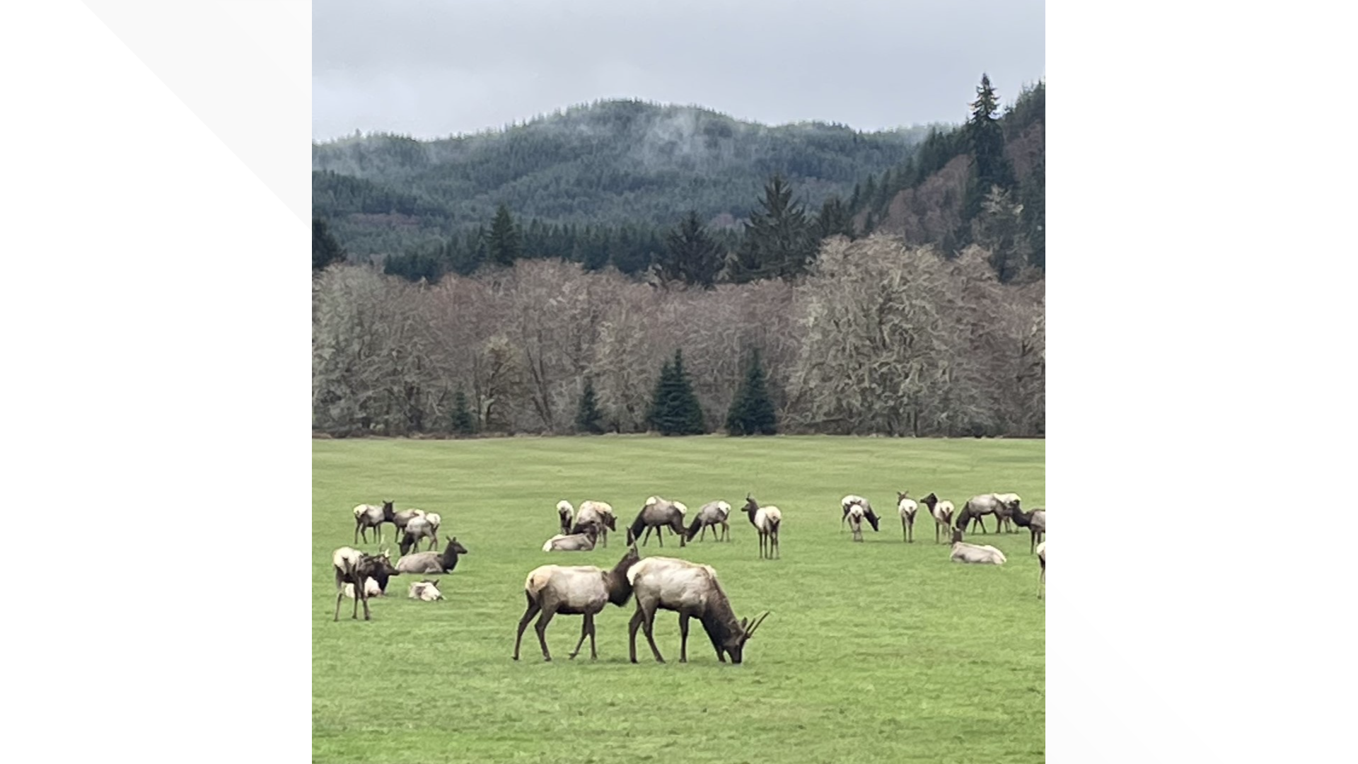 Exploring Highway 202 to the Oregon Coast | kgw.com