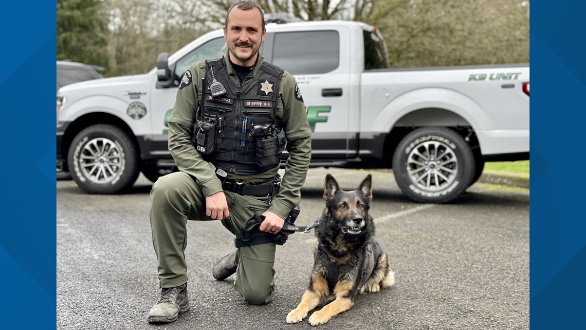Police reform bill in Washington state puts restrictions on K-9 units ...