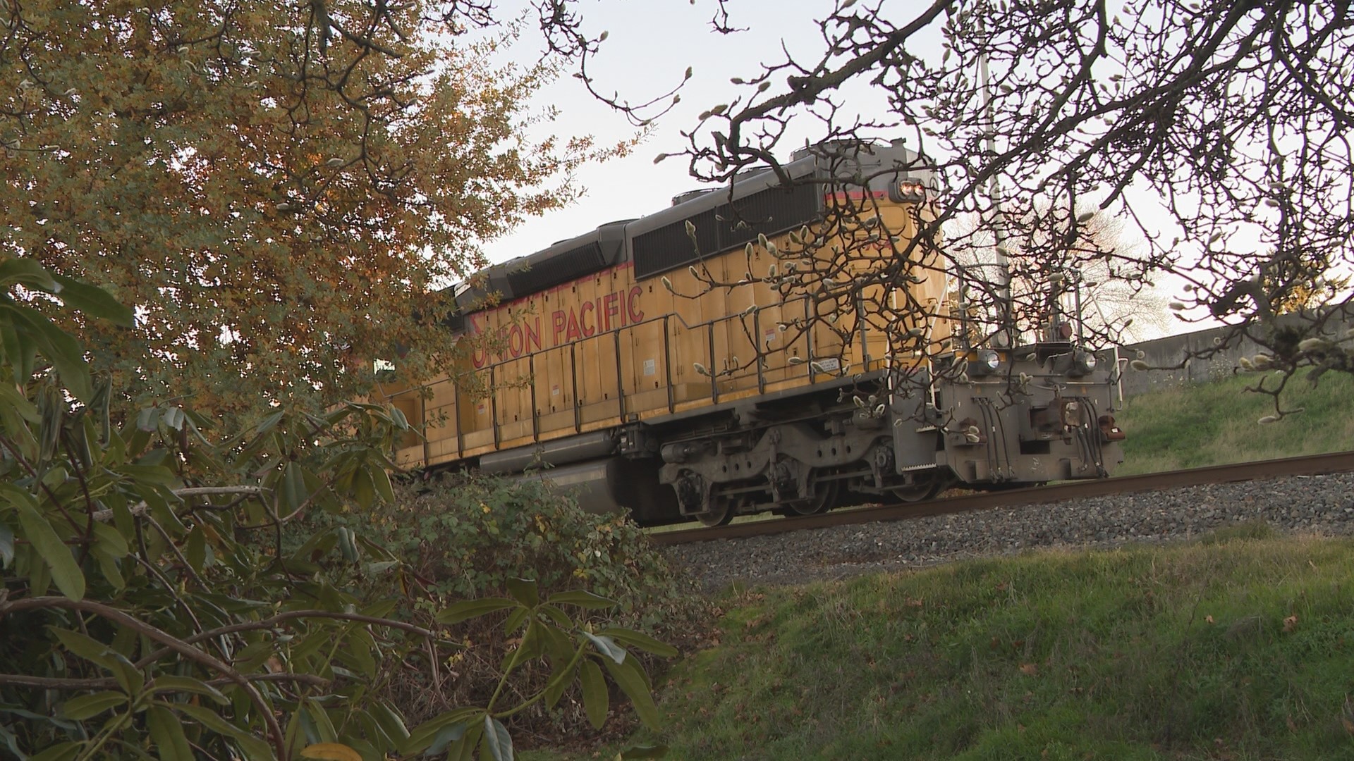 1 dead after being hit by freight train in Portland | kgw.com