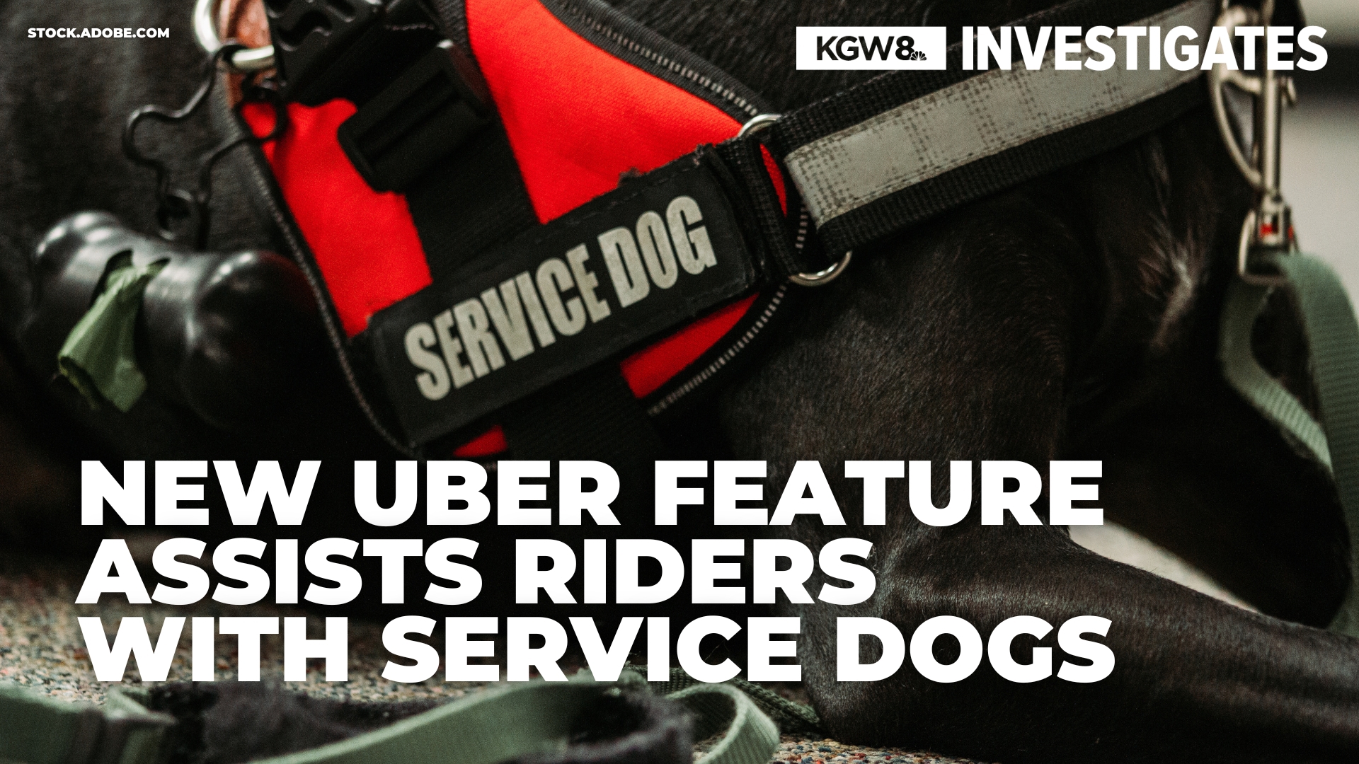 New Uber setting aims to curb ride cancellations for service animal ...