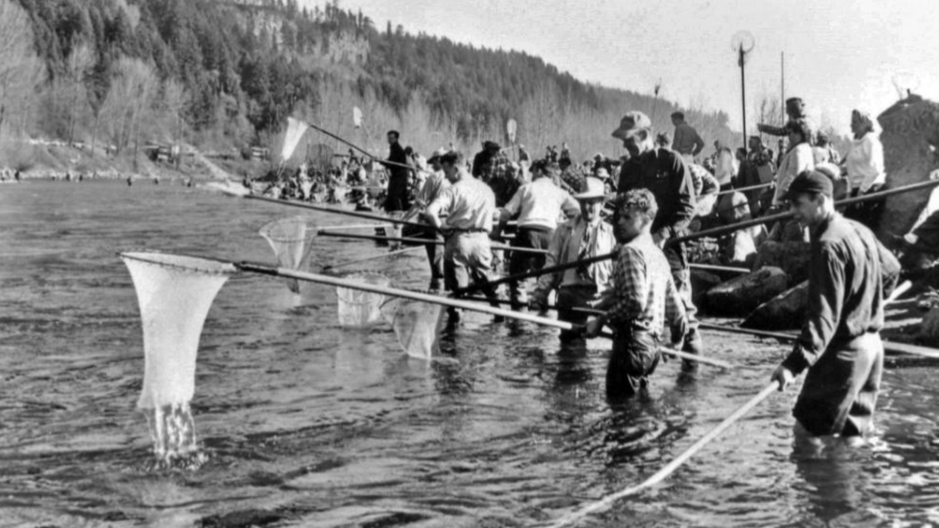 Smelt fishing on the Sandy River in Troutdale draws hundreds | kgw.com