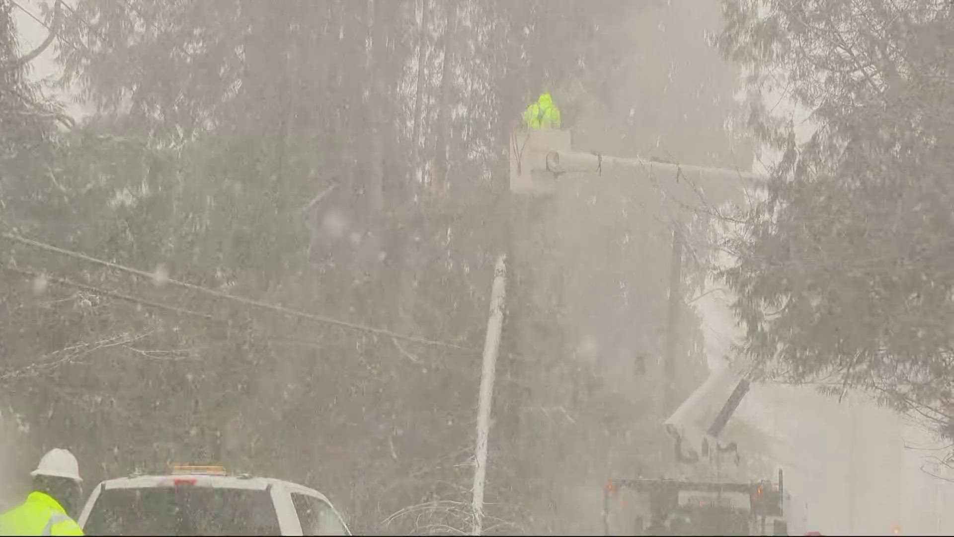 Hundreds out of power after tree crashes into power line in Southwest ...