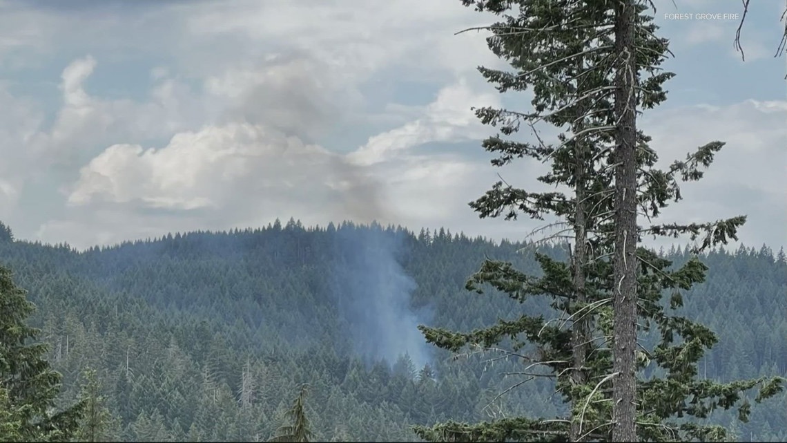 Severe thunderstorm watch issued across Oregon | kgw.com