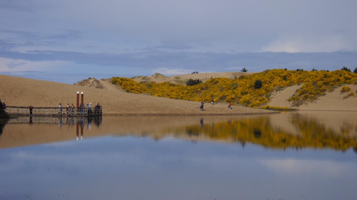 The Oregon Dunes: an 'ageless place in a timeless setting' | kgw.com