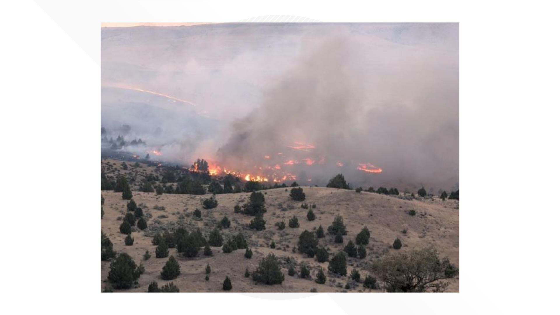 VERIFY from KGW in Portland, Oregon | kgw.com