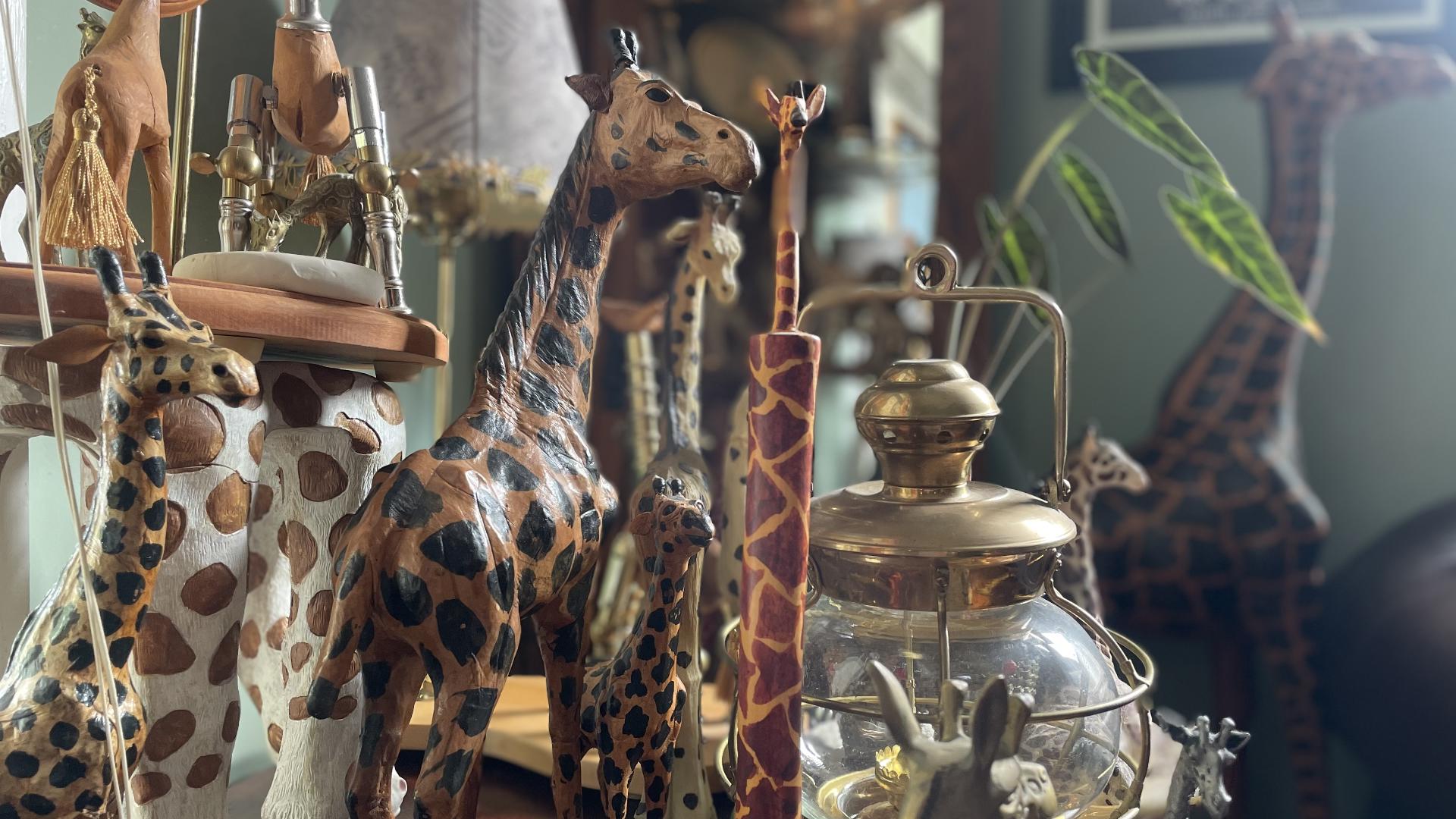 Portland's Giraffe House will be open for public tours | kgw.com