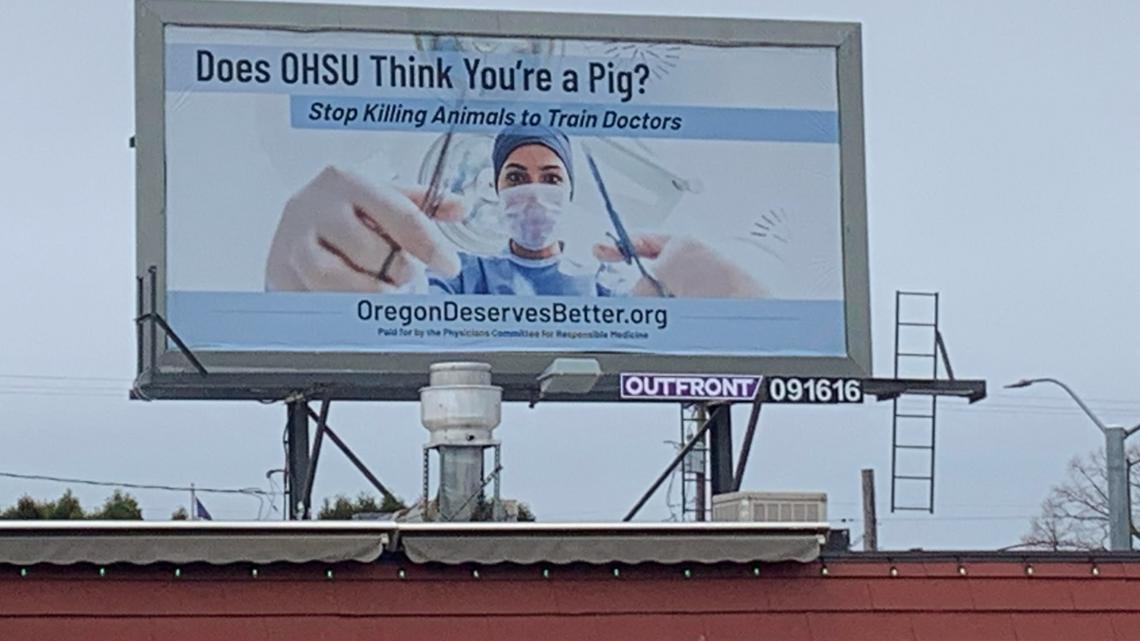 Billboards around Portland calls out OHSU for use of live pigs to teach ...