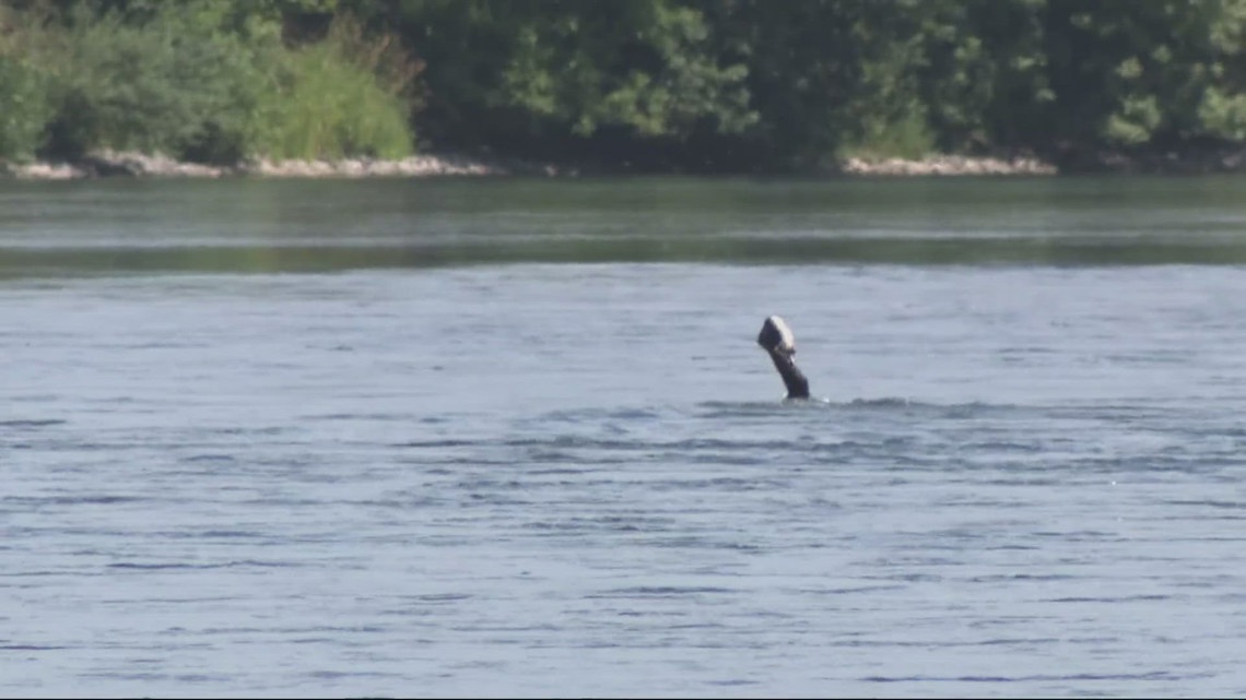 Naomi Pomeroy’s death highlights river dangers | kgw.com