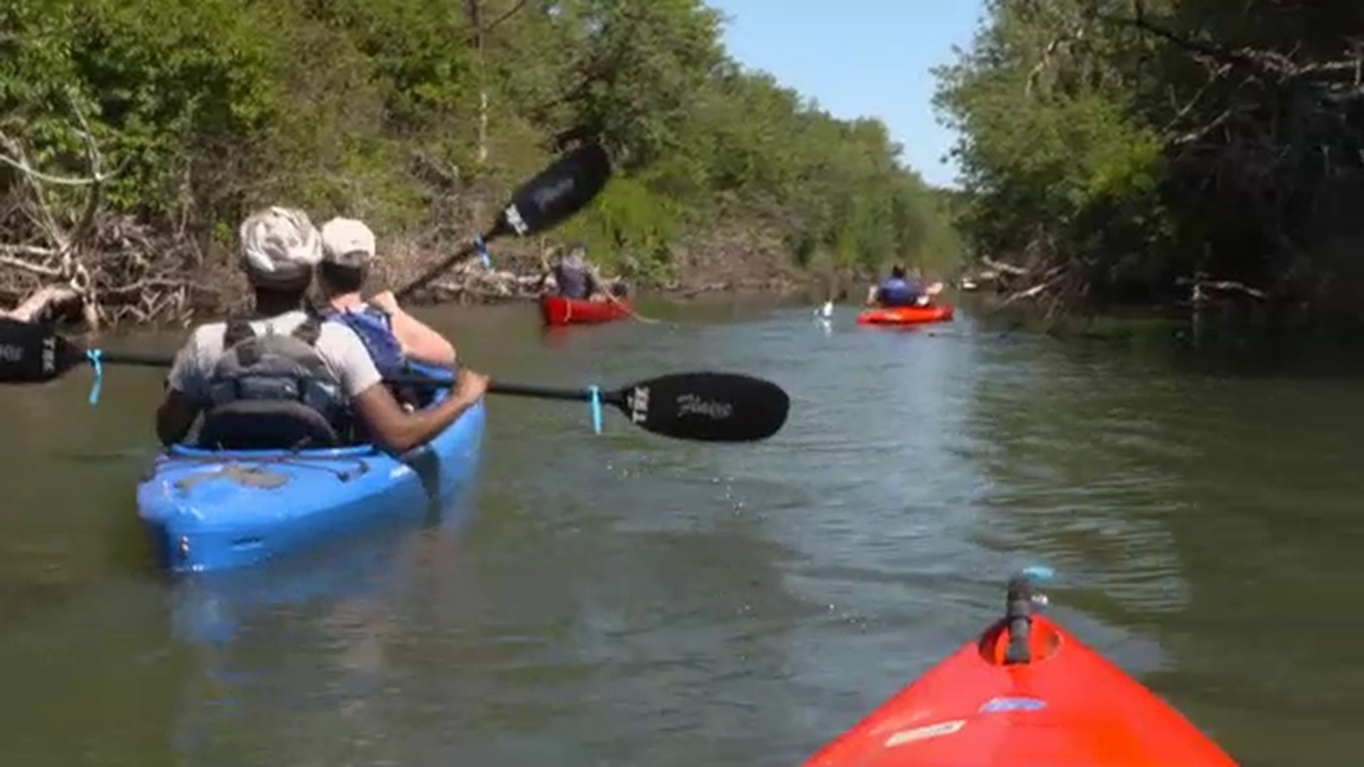 Grant's Getaways: A paddle on the Tualatin River | kgw.com