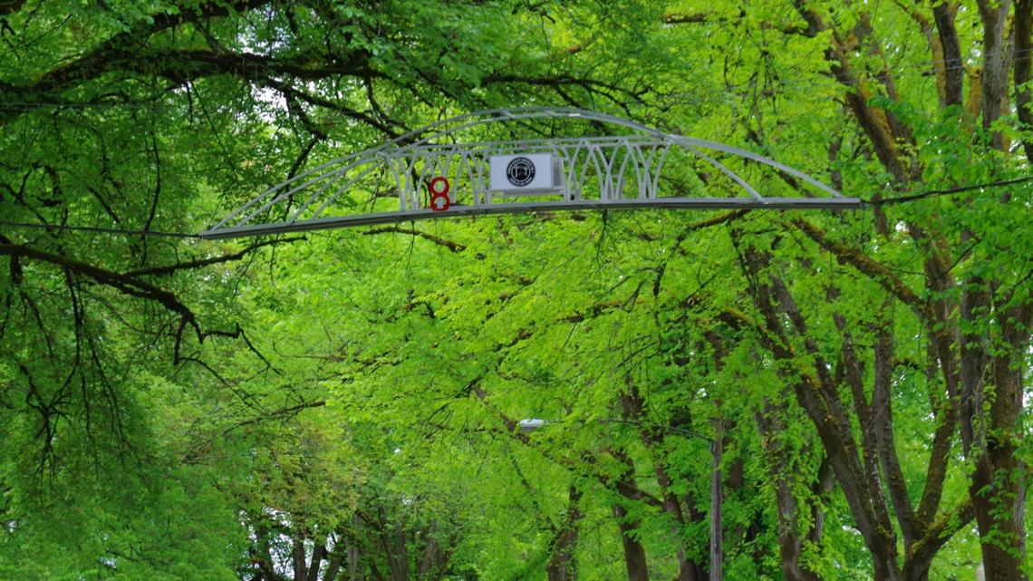 Who built Longview's first bridge for squirrels | kgw.com
