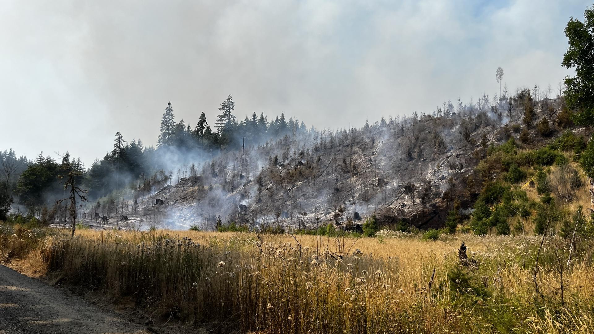 Lee Falls Fire near Hagg Lake forces Level 3 (Go Now) evacuations | kgw.com