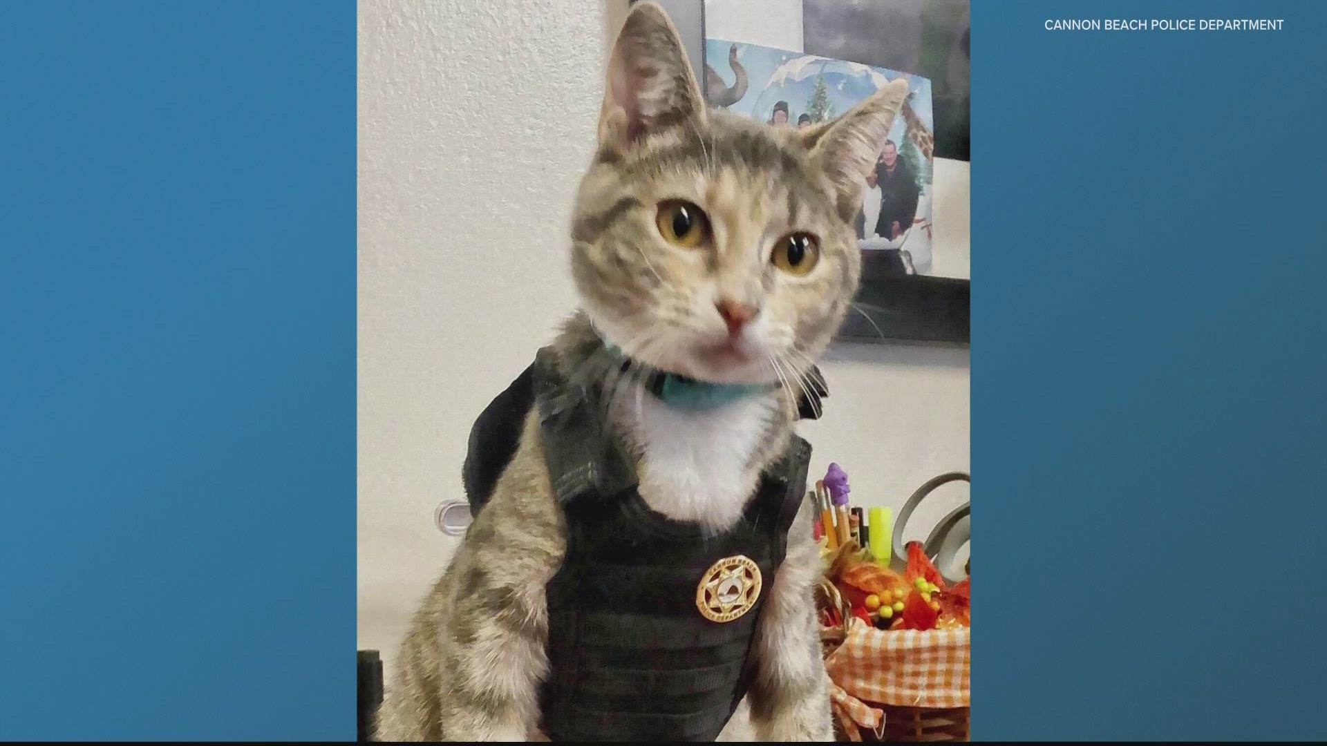 Cannon Beach's Officer Pew Pew turns 7 | kgw.com
