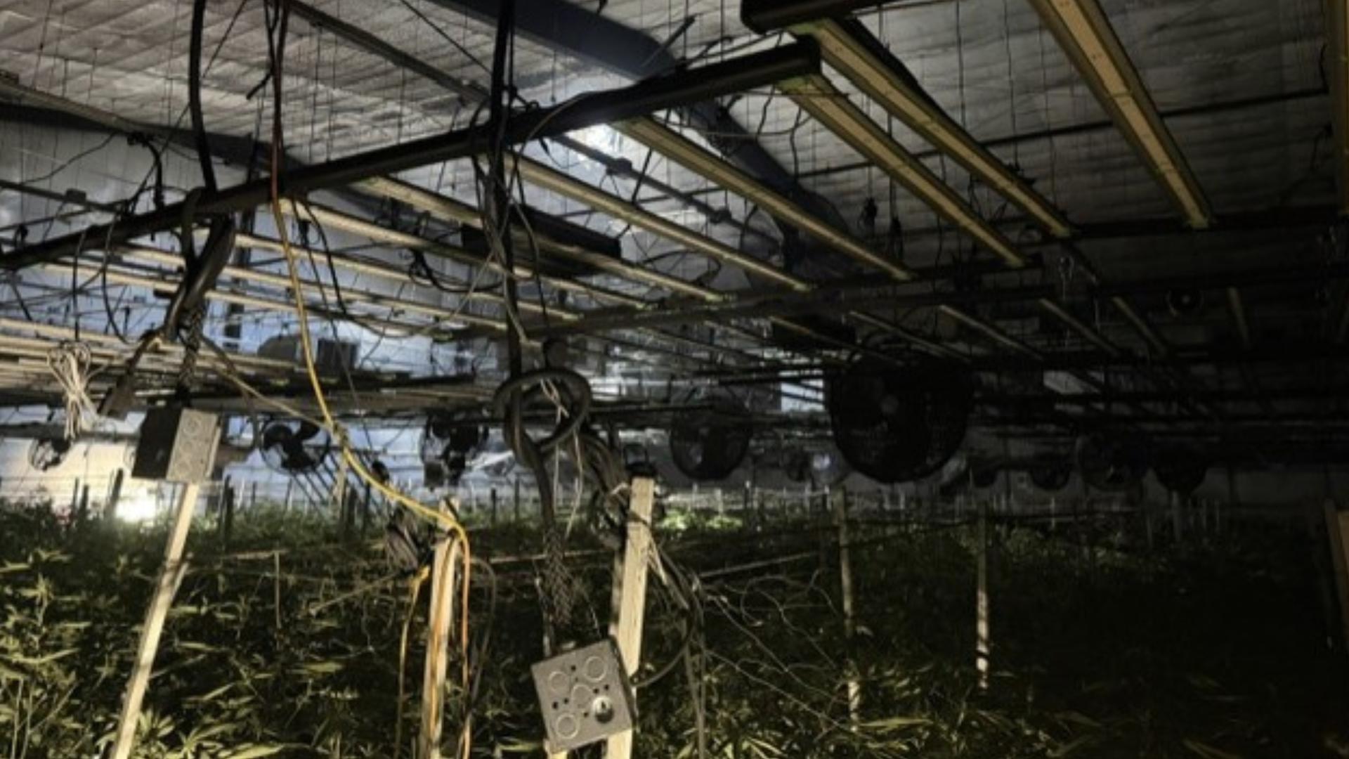 'Up in smoke': Cannabis growing operation in Estacada catches fire ...