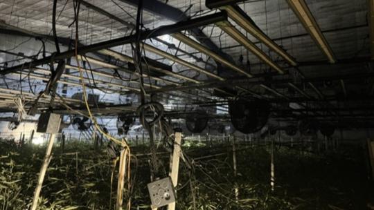 'Up in smoke': Cannabis growing operation in Estacada catches fire ...