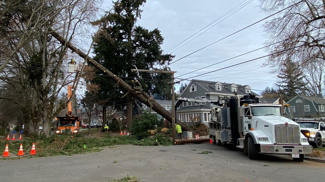PHOTOS: Downed power lines, trees | kgw.com