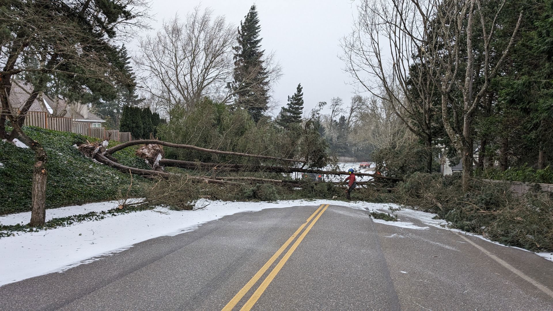 Downed trees leave 2 dead, many Portland-area homes destroyed | kgw.com