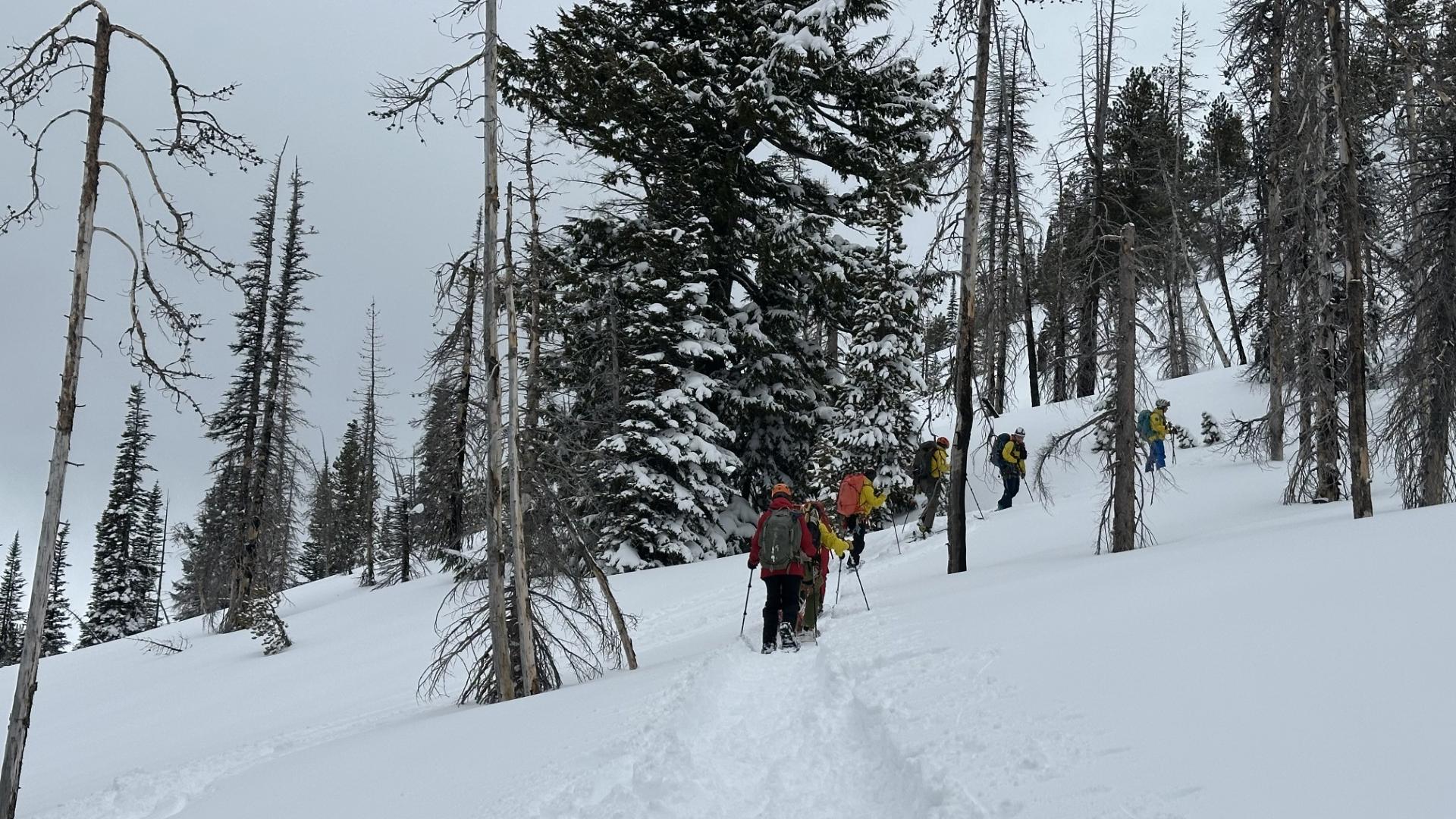 Oregon avalanche kills 2 people near snowmobile trail | kgw.com