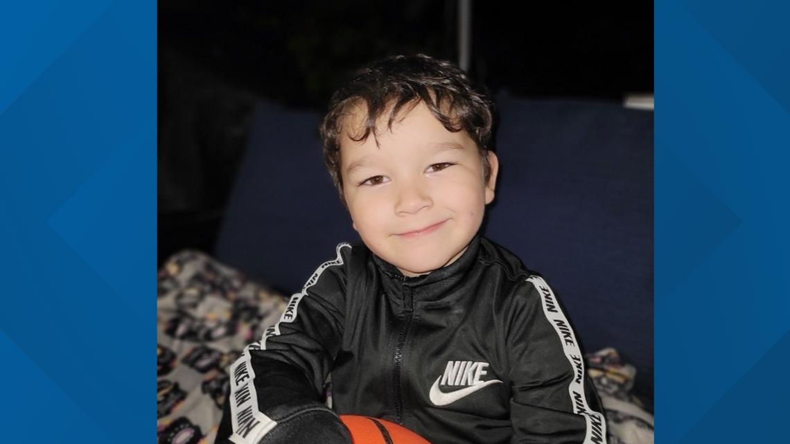 Trial begins for dog owner in deadly attack on 6-year-old boy in ...