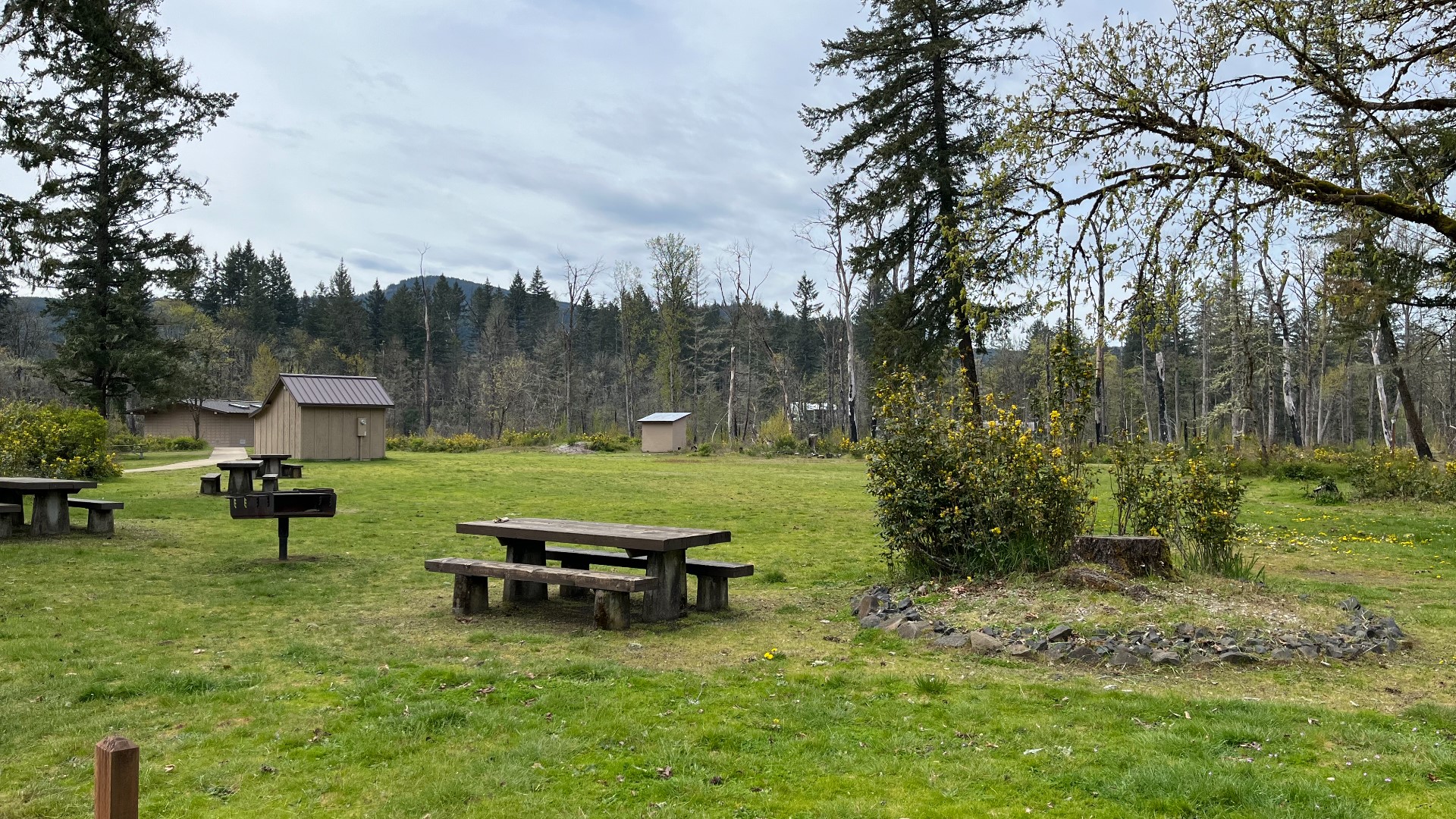 Marion County reopens Santiam Canyon's wildfire-affected parks | kgw.com