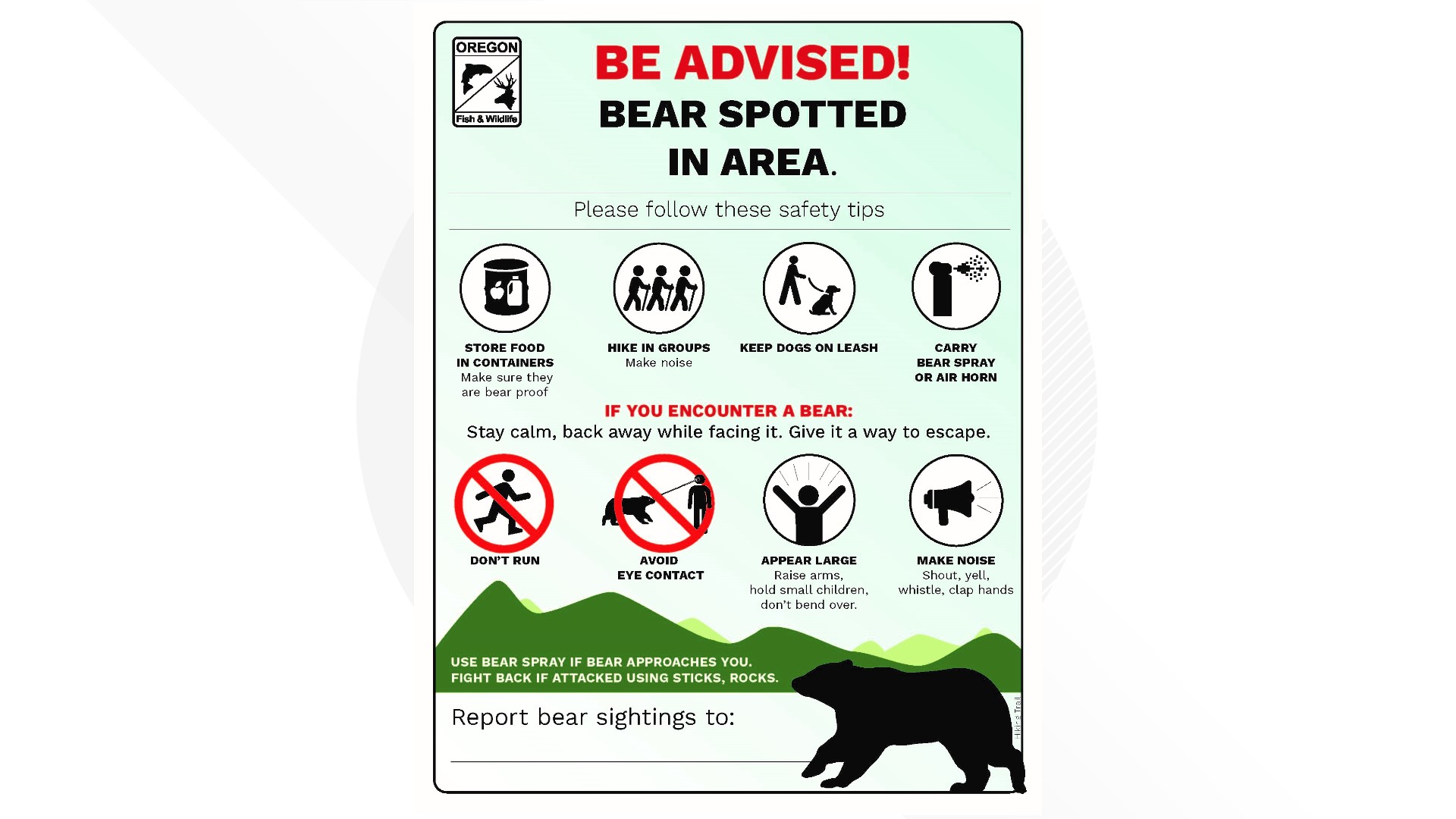 6 bear sightings reported in Portland's Forest Park in 8 days | kgw.com