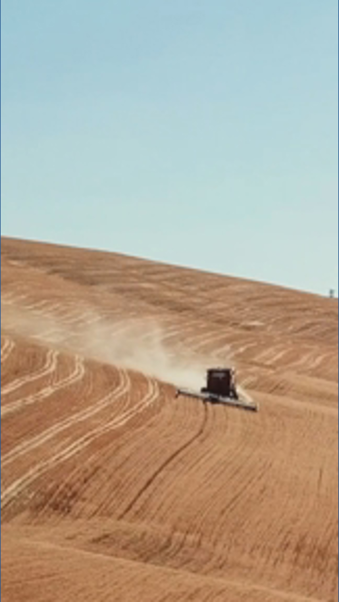 Eastern Oregon wheat farmers say rising costs are pushing them into the ...