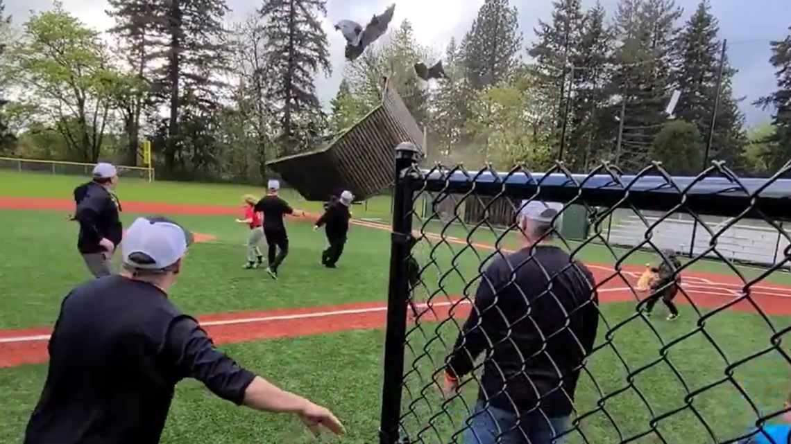 NWS Portland confirms gustnado at Tigard kids' baseball game | kgw.com