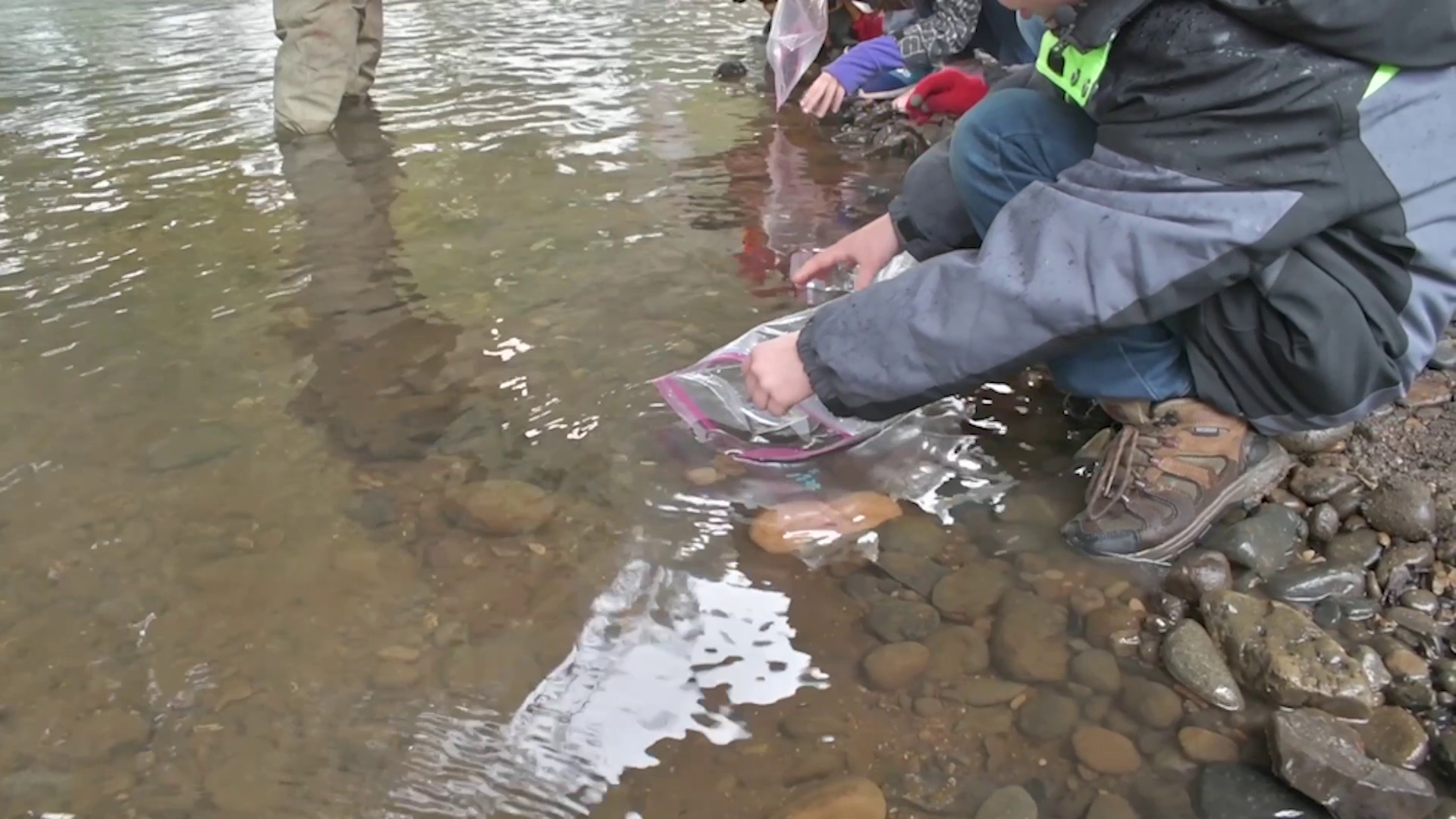 Tillamook Forest Center spotlights aquatic life | kgw.com