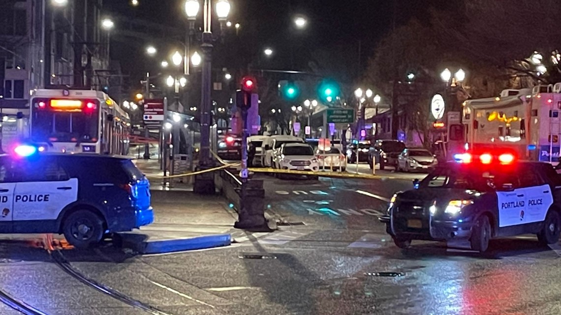 Fatal stabbing on MAX in Portland's Goose Hollow neighborhood | kgw.com
