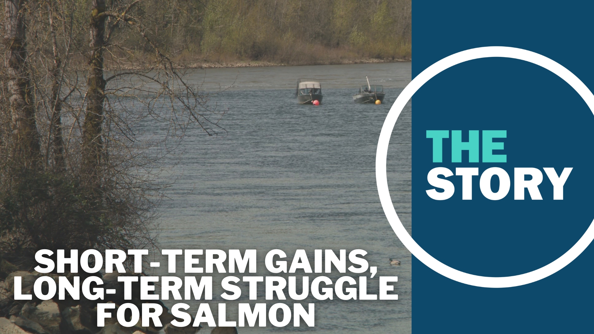 NOAA predicts uptick in salmon returns, but not signs of overall recovery | kgw.com