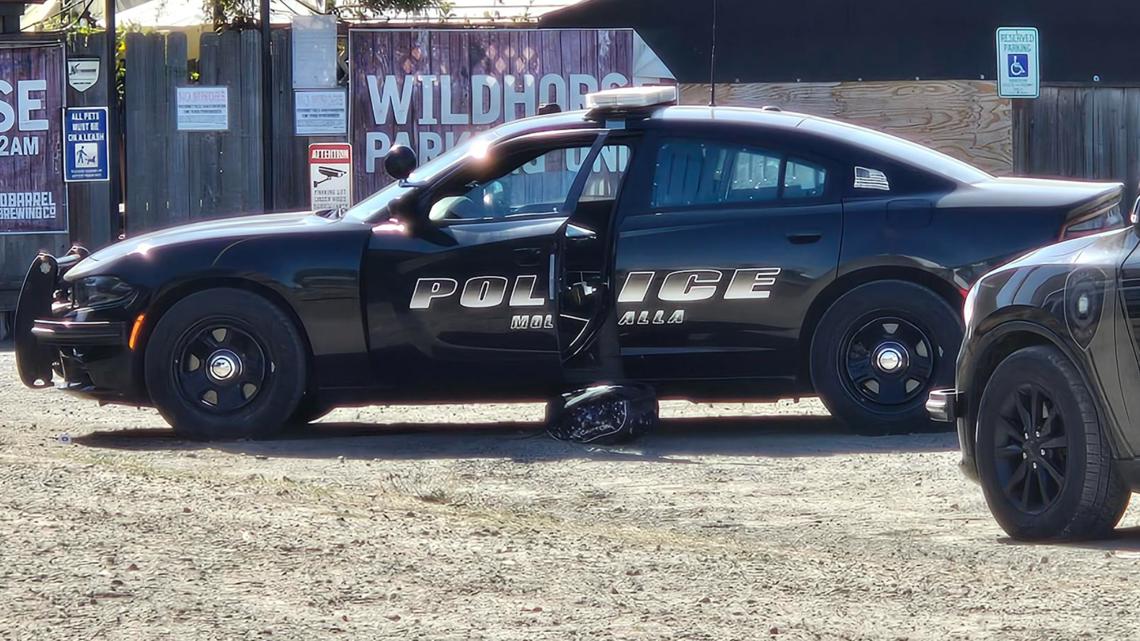 Molalla police officer hospitalized after 'altercation' with suspect at ...