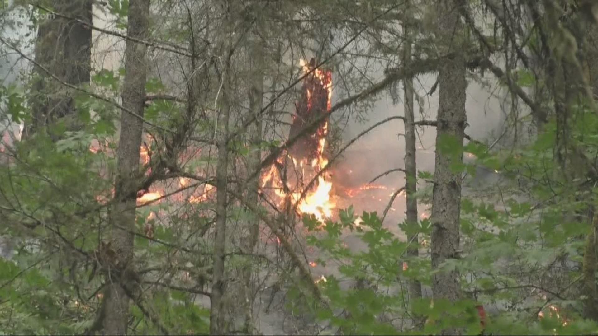 Milepost 97 fire in Southern Oregon leads to injuries | kgw.com