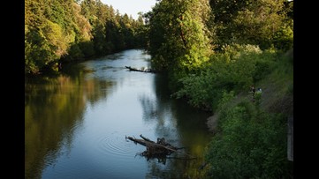 Grant's Getaways: A paddle on the Tualatin River | kgw.com