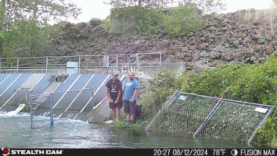 Suspects stole salmon from southern Oregon hatchery, police say | kgw.com