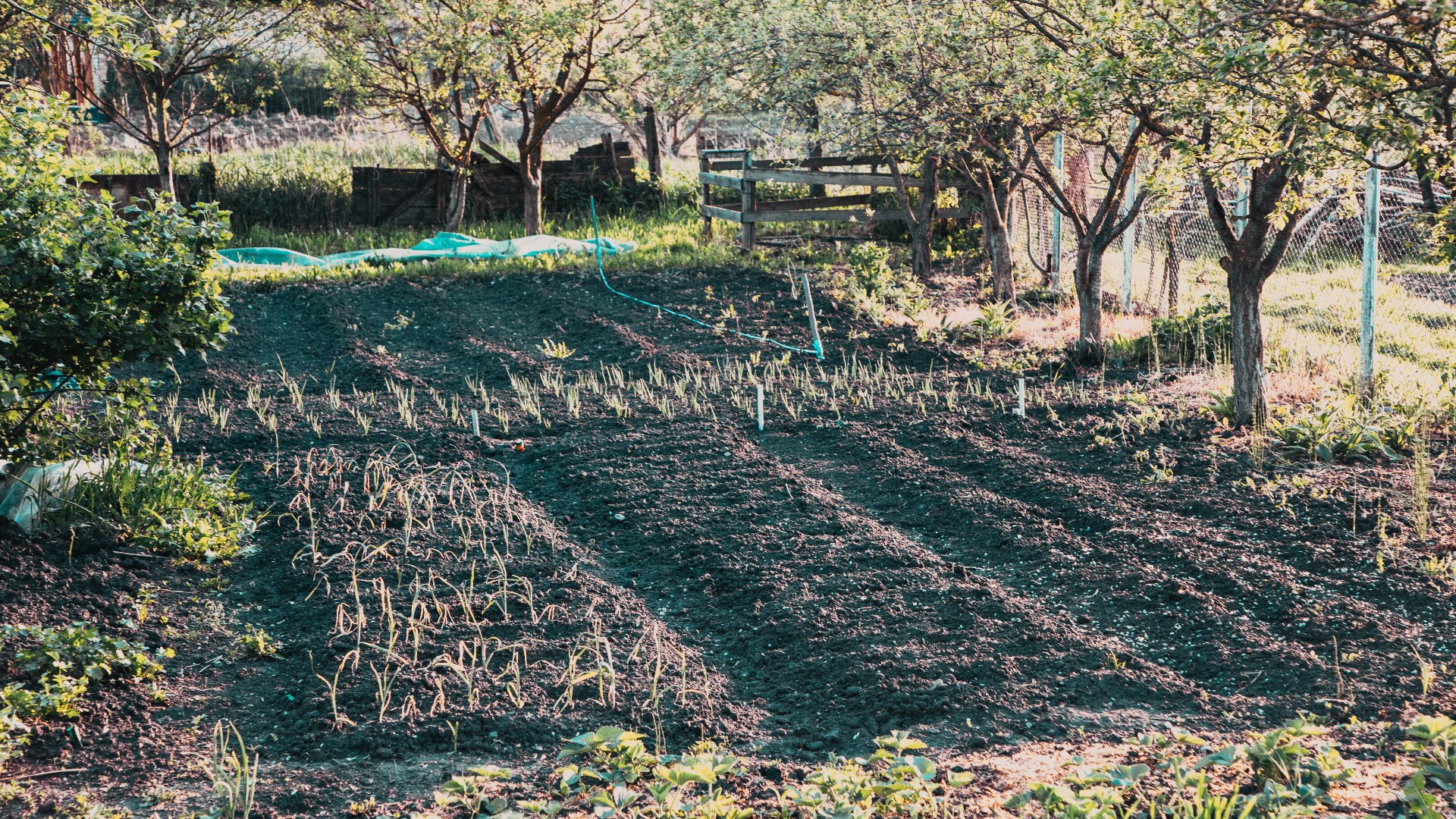 OSU and partners offer Small Farm School | kgw.com