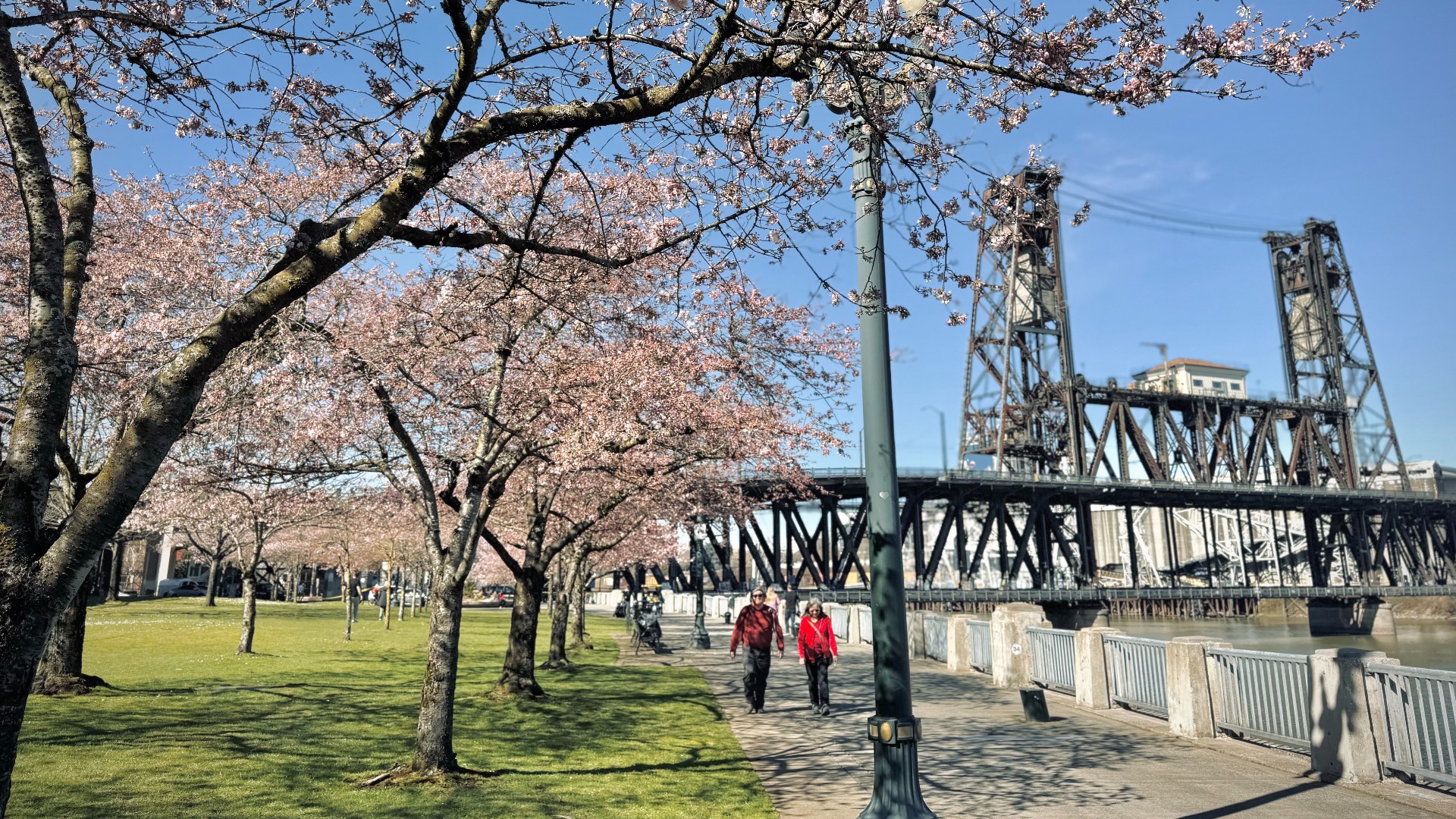Henry Sakamoto, longtime Portland civic leader, dies at 98 | kgw.com