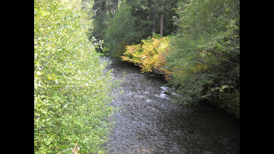 Grant's Getaways: Aufderheide Scenic Byway | kgw.com