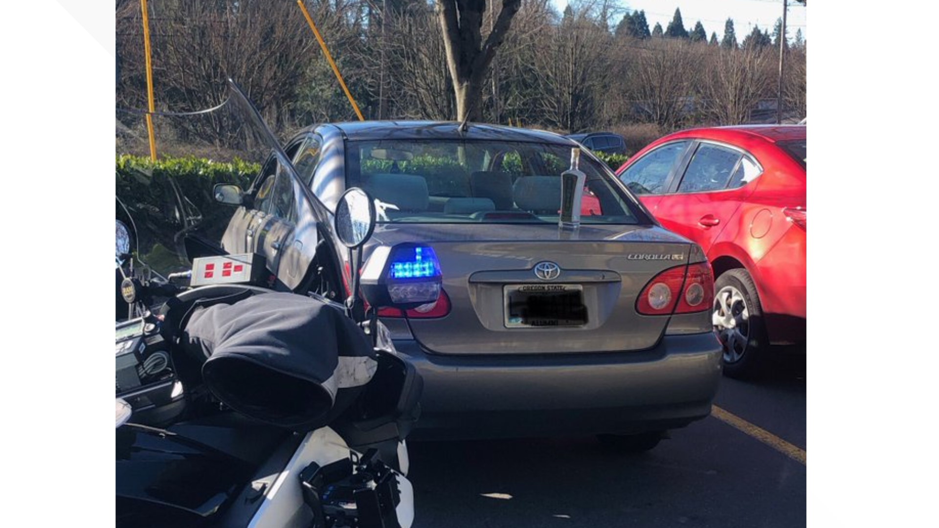 Poop gives researchers unique insight into whale health | kgw.com