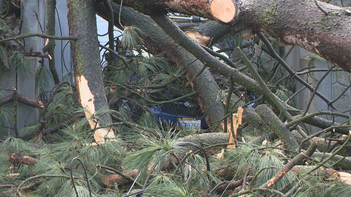 Fallen trees in Portland-area cause thousands in damages | kgw.com