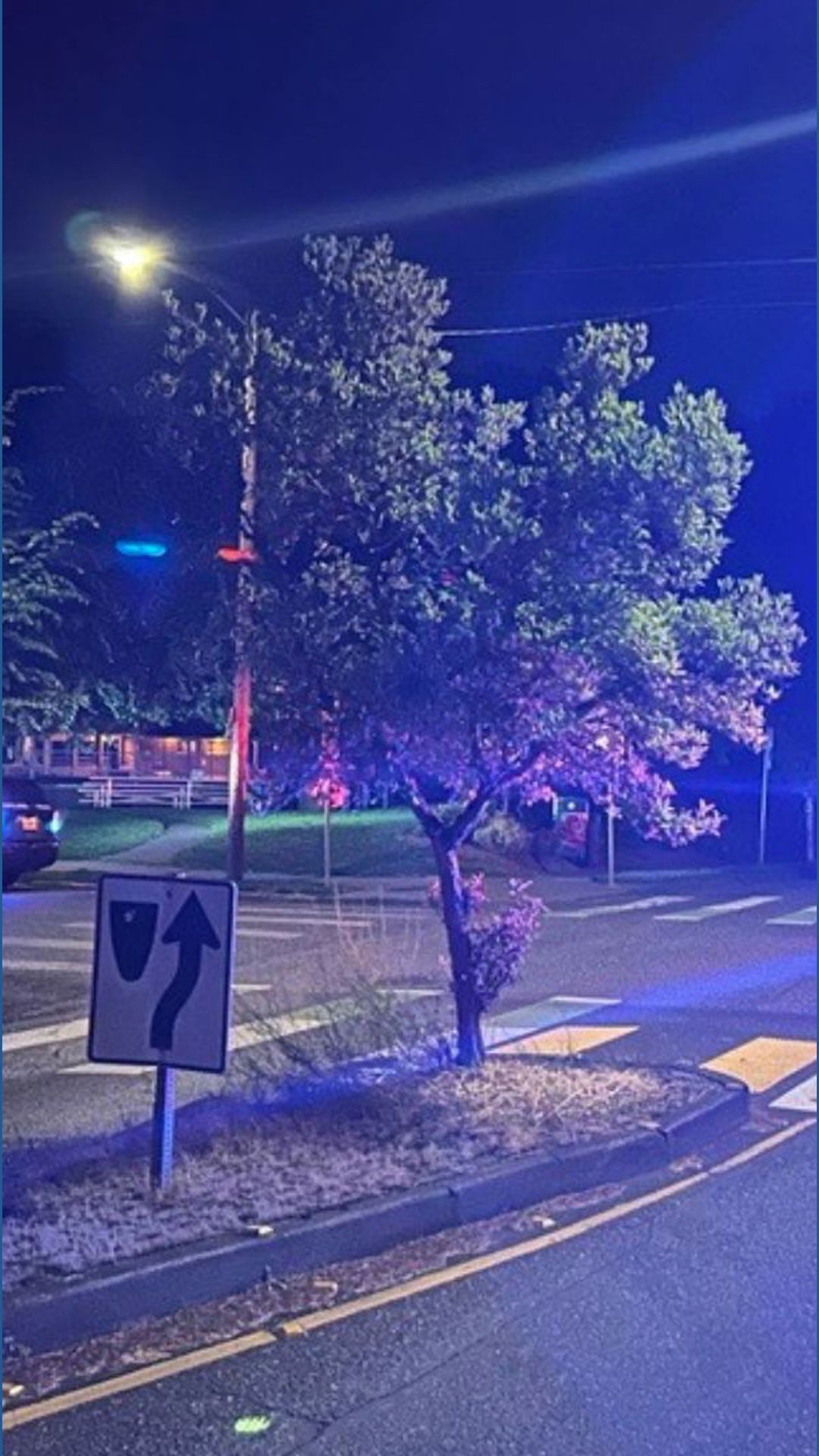 3 arrested in Northwest Portland after shooting; 1 remains at large ...