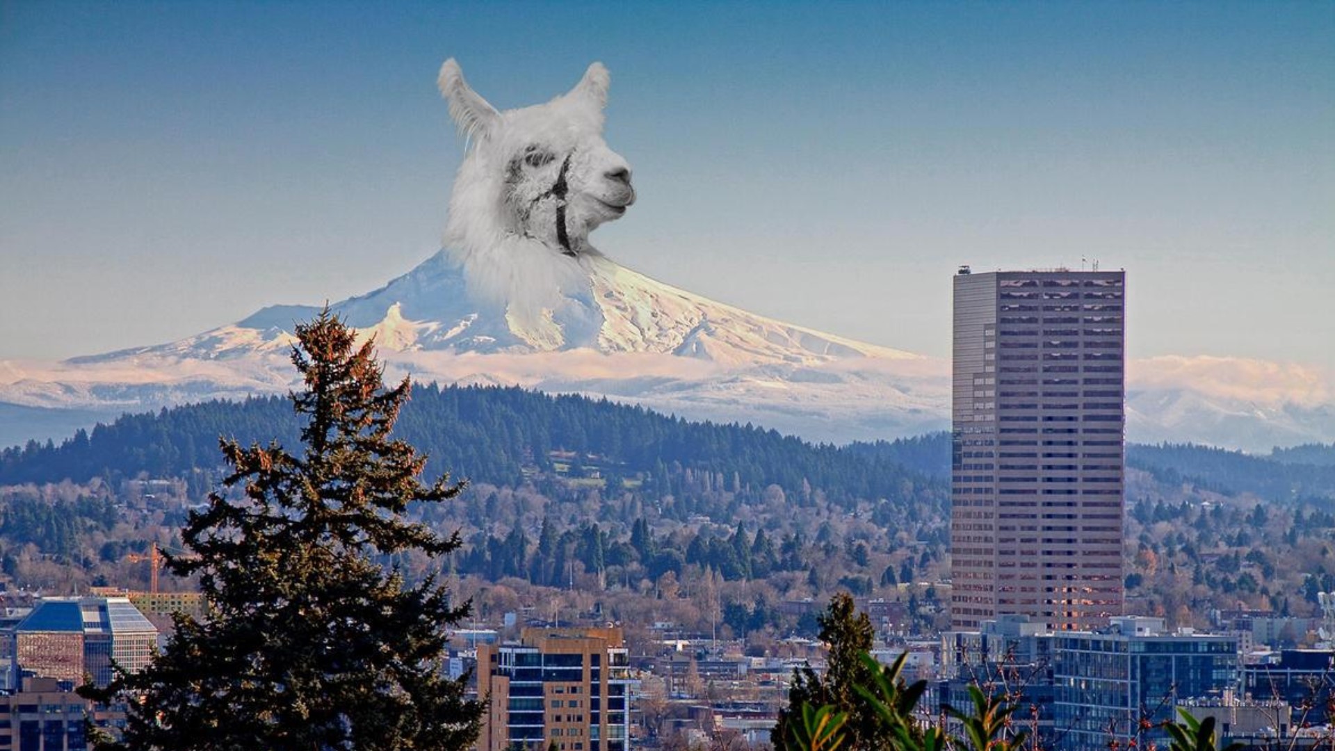 Redditors answer the call to Photoshop Cassidy Quinn and Caesar the ...