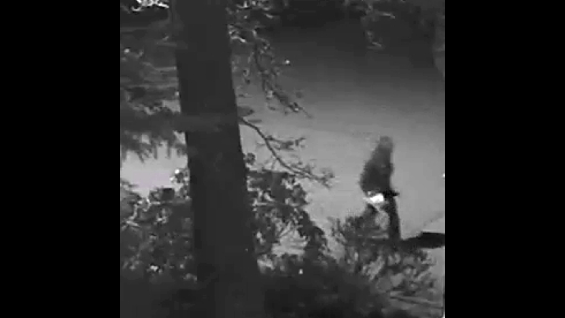 Gunshots fired at front door of SAIF Corporation CEO's home | kgw.com