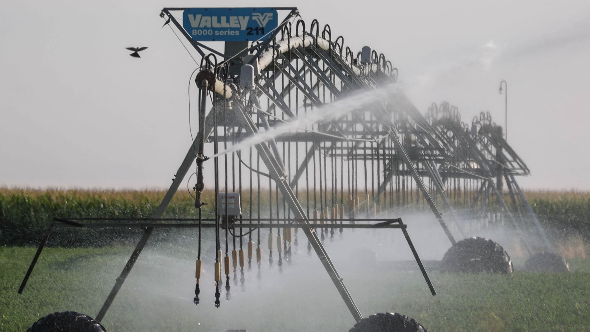 East Oregon water pollution crisis stems from multiple sources | kgw.com