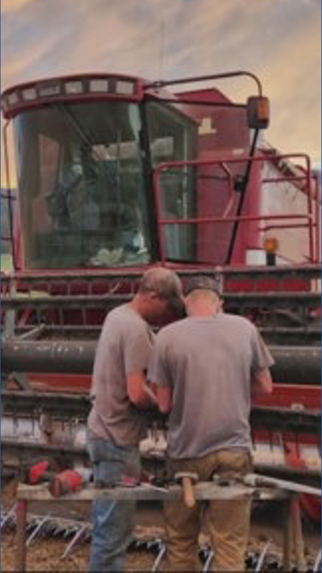 Eastern Oregon's wheat farmers saying they're struggling to break even ...