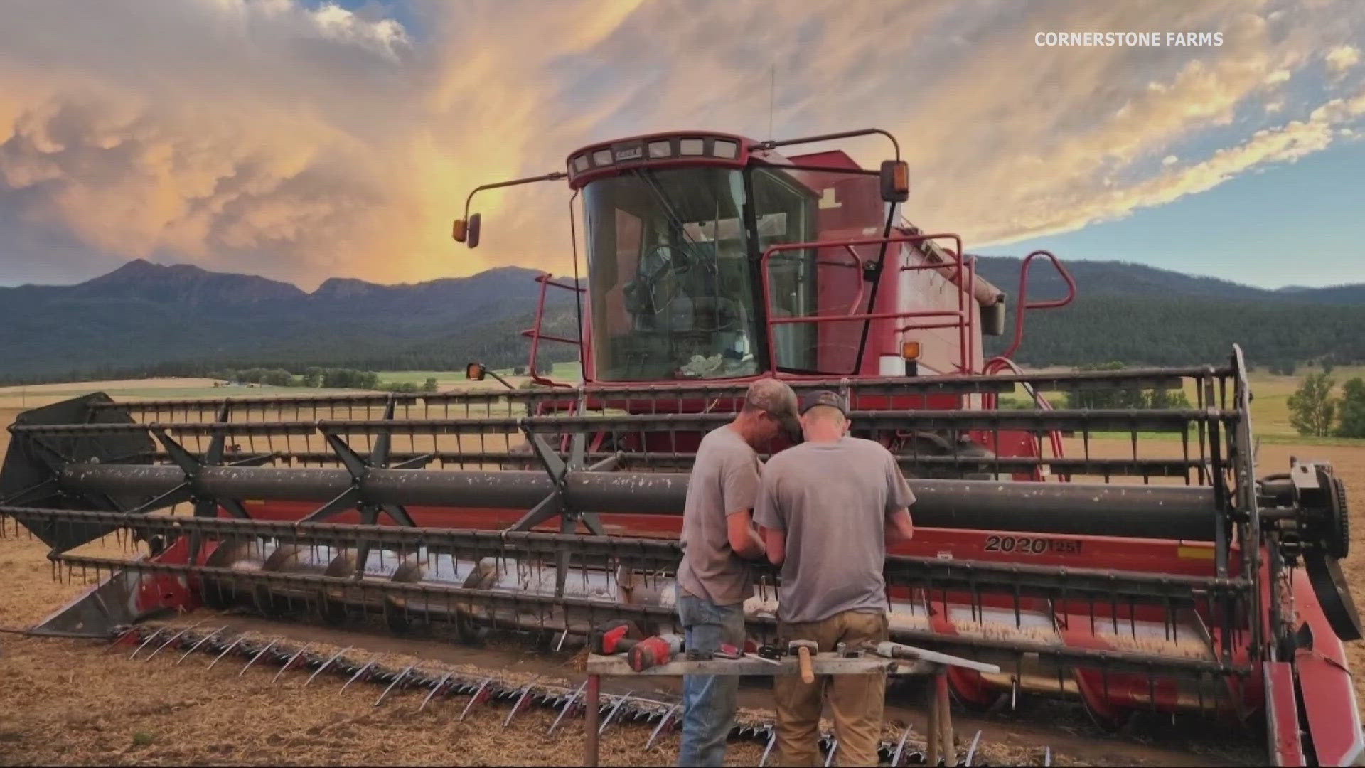Eastern Oregon's wheat farmers saying they're struggling to break even ...