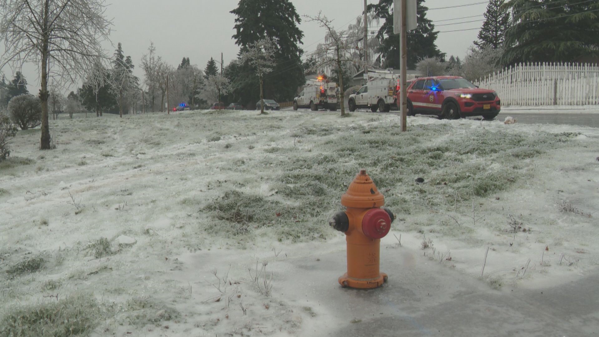 Downed power line kills 3 people in Portland | kgw.com