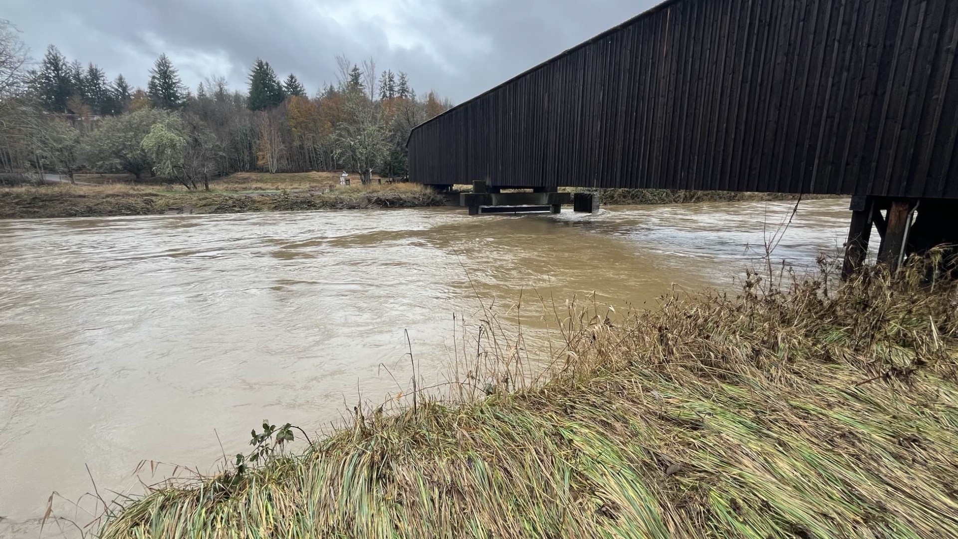 Five people near Grays River rescued by Coast Guard | kgw.com
